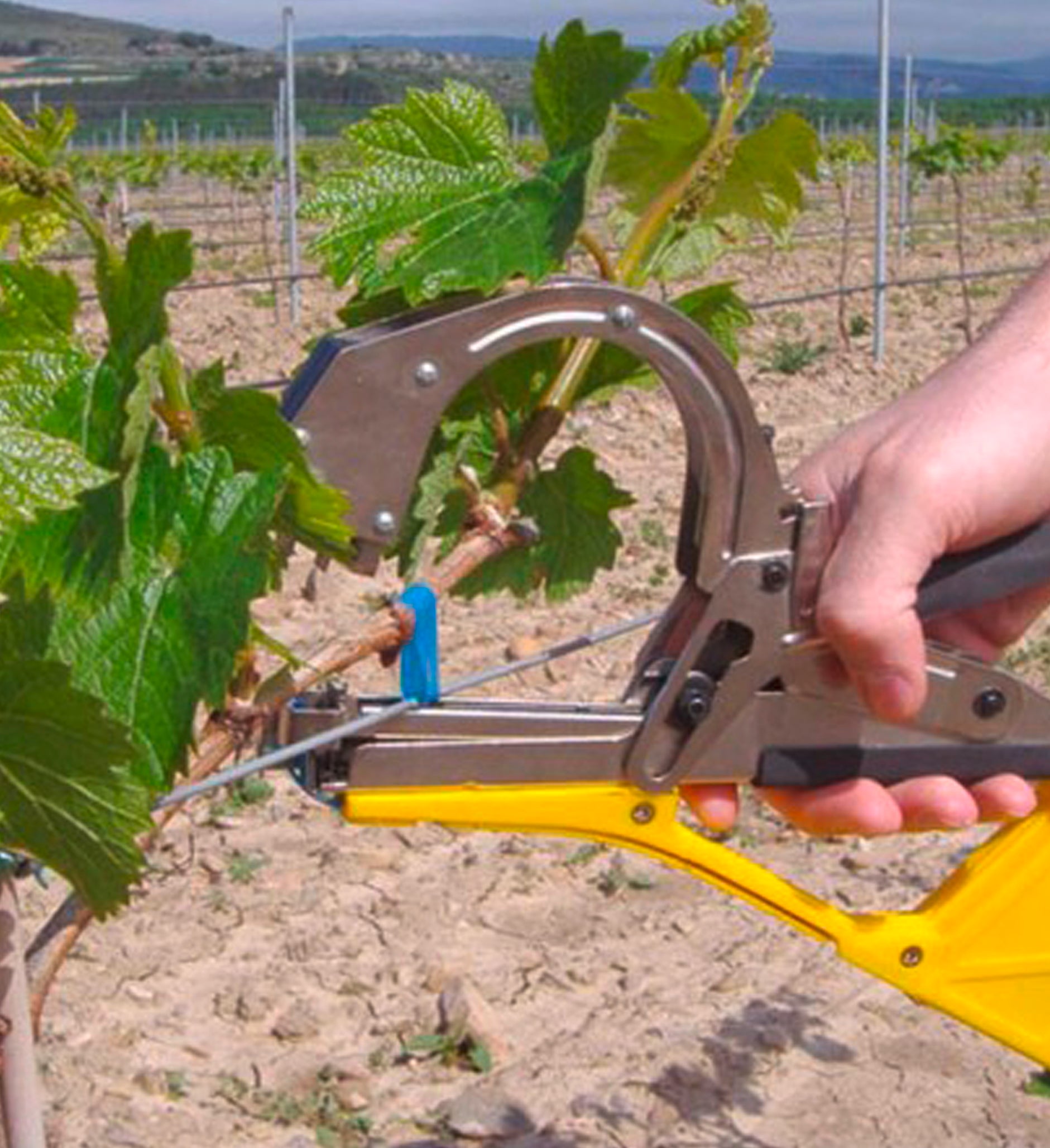 Agrifast by Simes – REDWOOD IMPORTS (Wholesale)