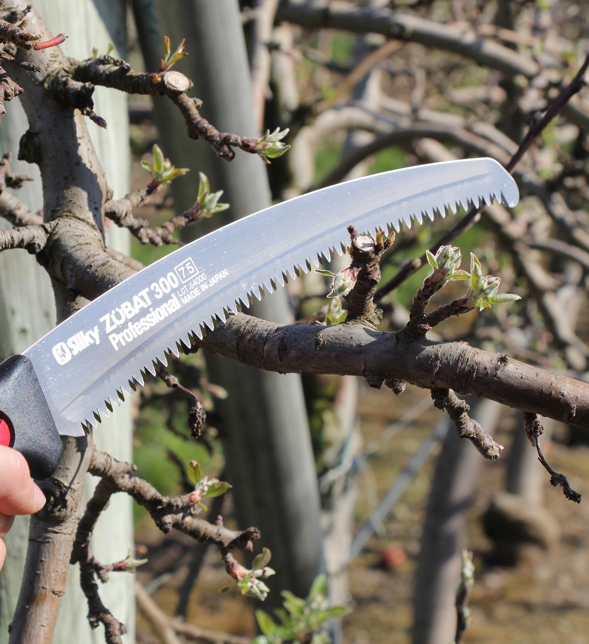 Silex Tools – REDWOOD IMPORTS (Wholesale)